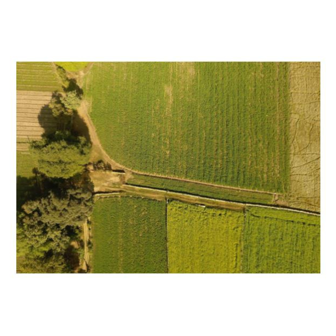 Crop Spraying Drones for Farming | Agri Drones for Modern Farming